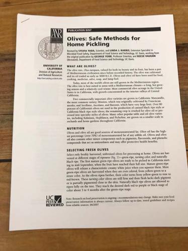 Home Olive Curing Kit - Lye Cure Method | The Beverage People