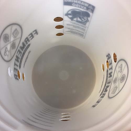 Home Olive Curing Kit - Dry Salt Cure Method | The Beverage People